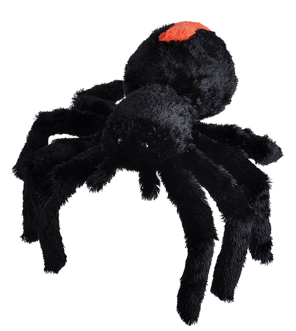 CK Redback Spider Stuffed Animal 12" – Stemcell Science Shop