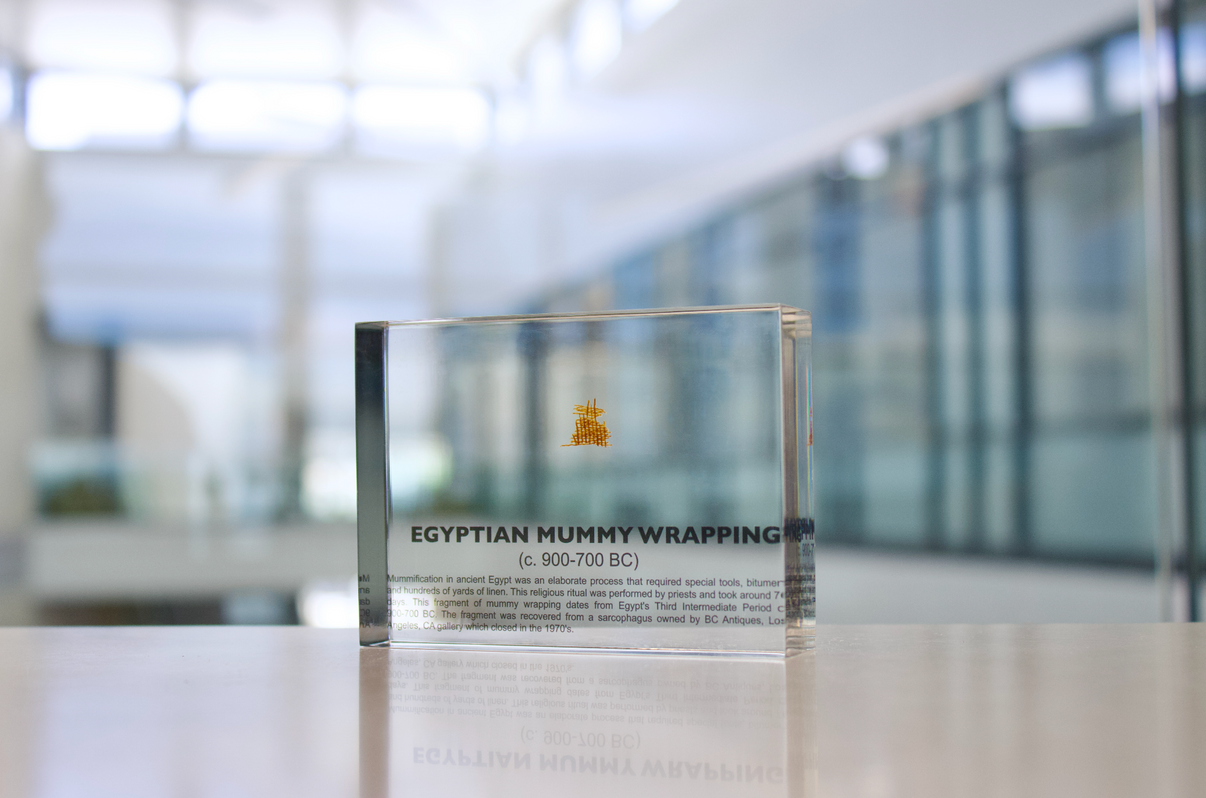 Egyptian Mummy Wrapping – Stemcell Science Shop