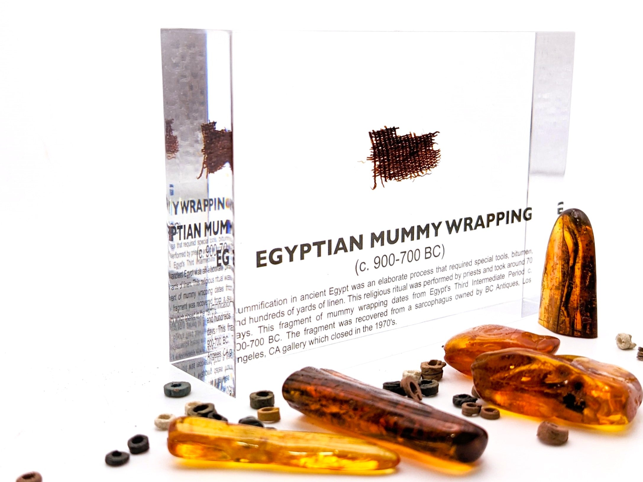 Egyptian Mummy Wrapping – Stemcell Science Shop