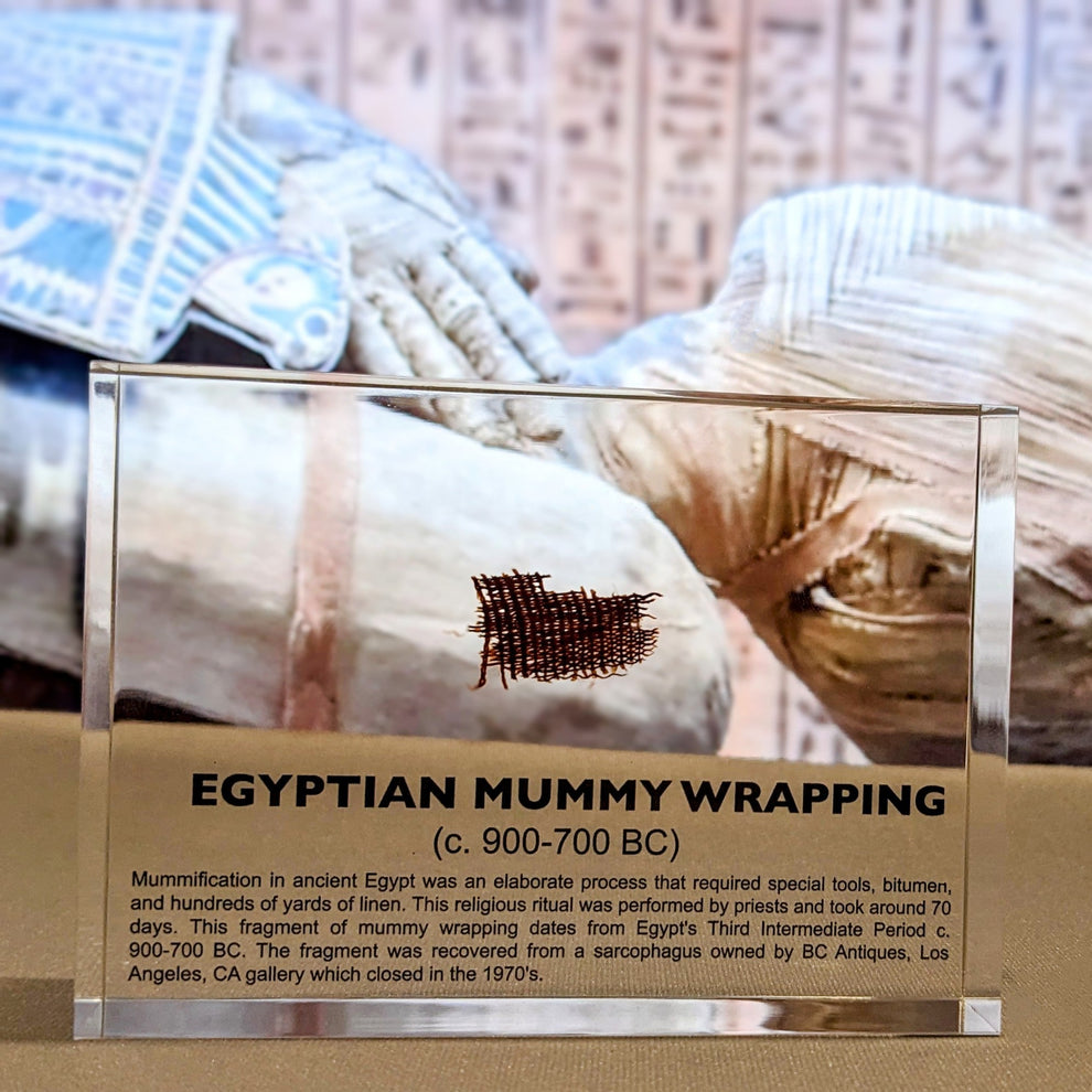 Egyptian Mummy Wrapping – Stemcell Science Shop