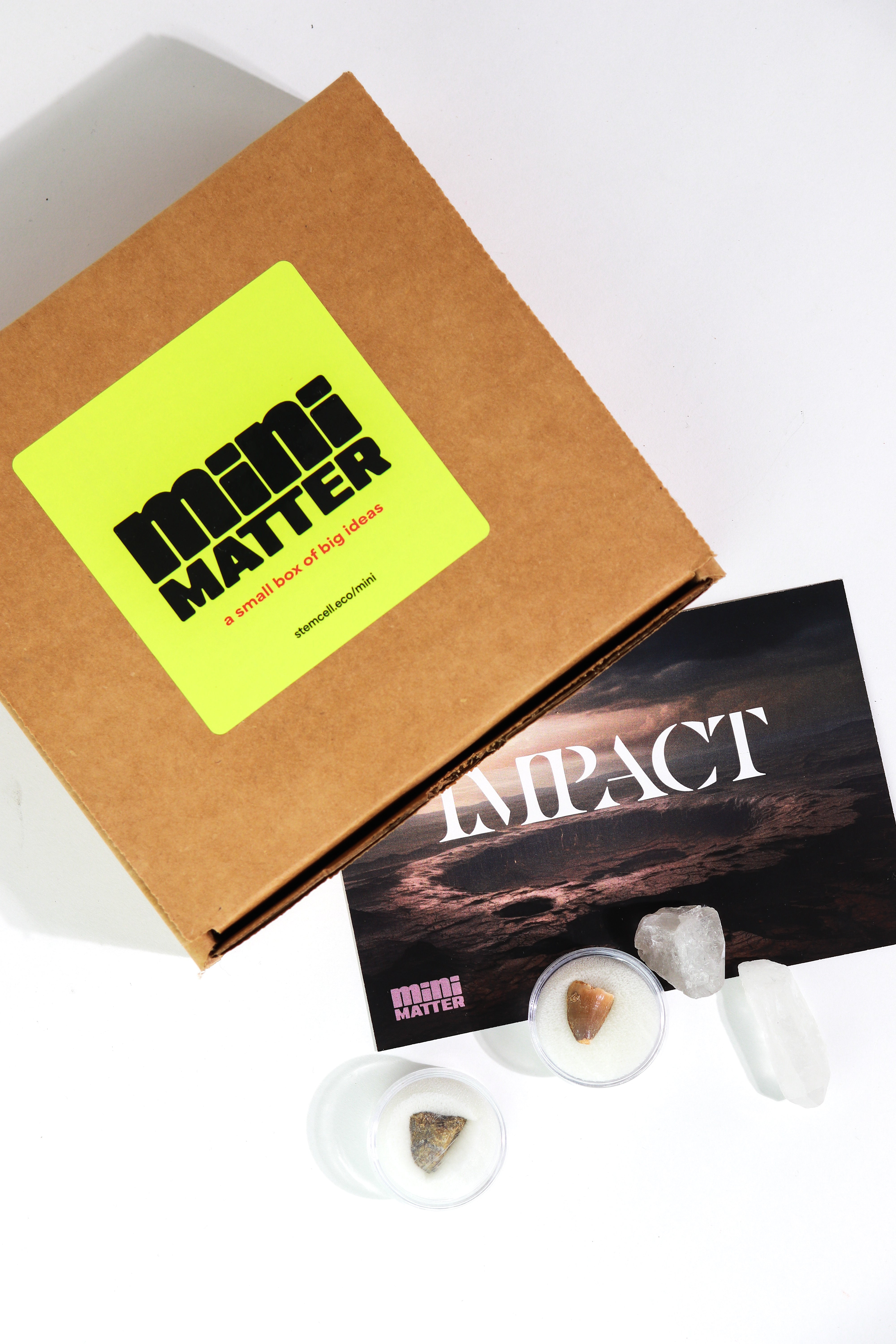 Mini Matter: Impact – Stemcell Science Shop