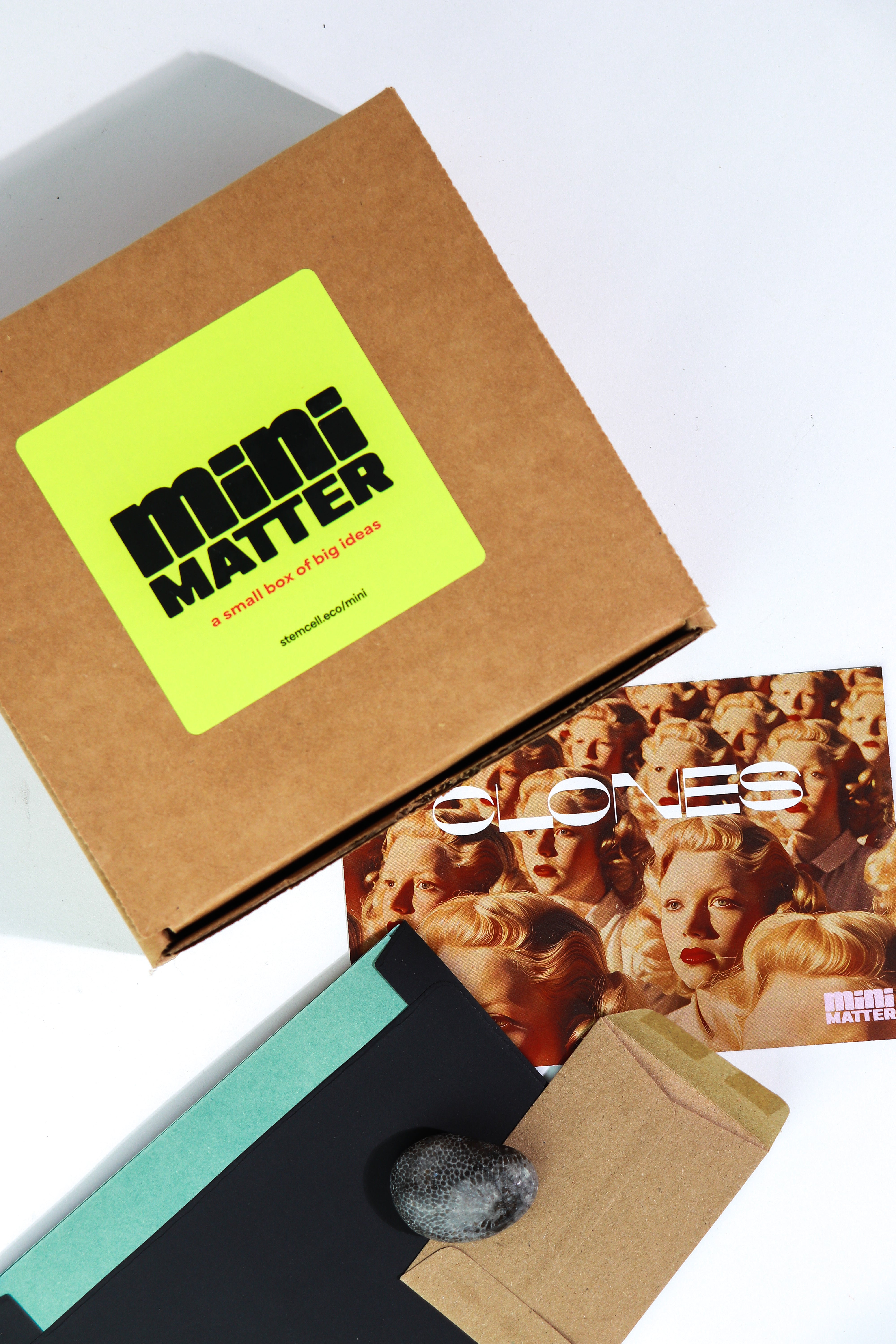 Mini Matter: Clones – Stemcell Science Shop
