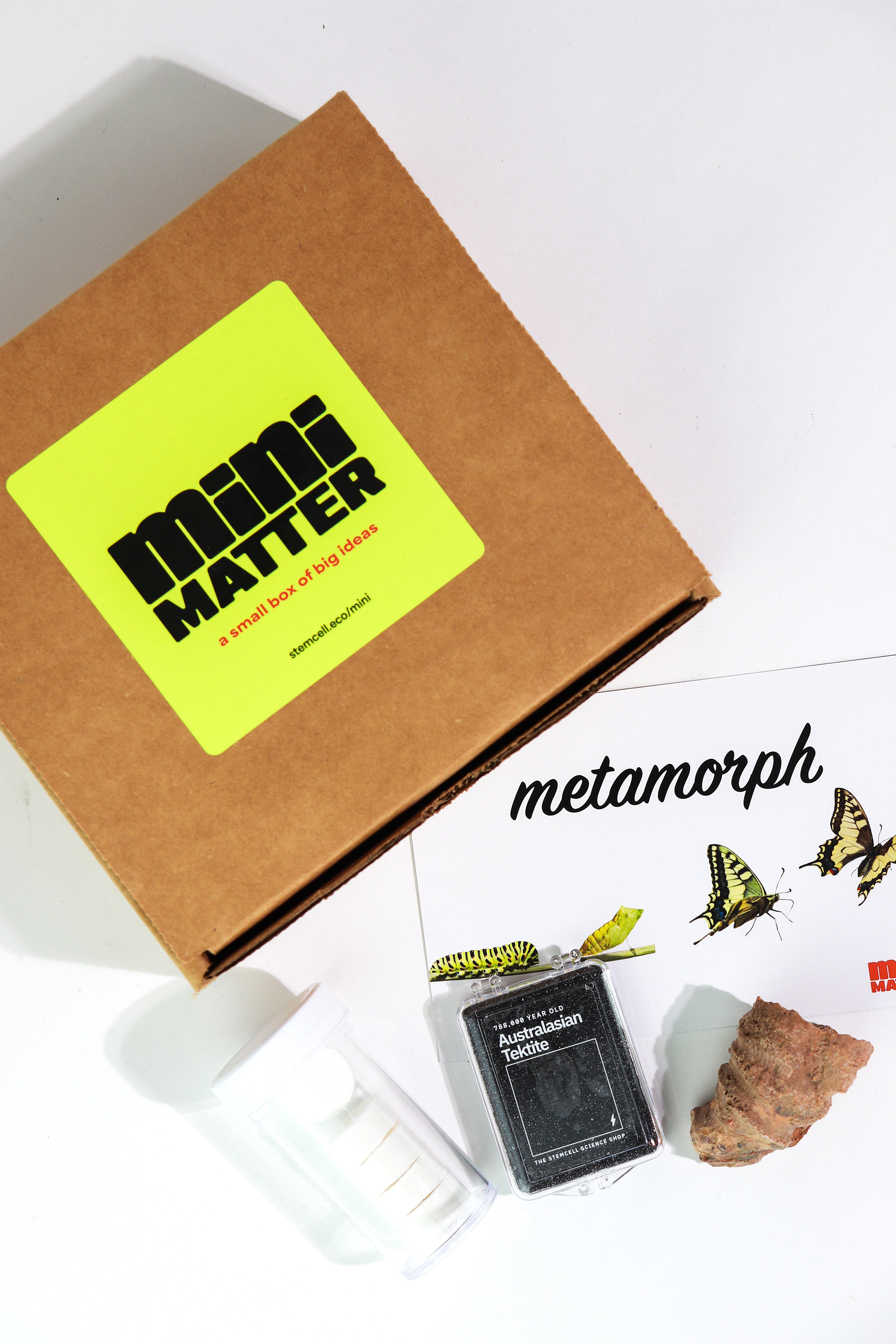 Mini Matter: Metamorph – Stemcell Science Shop