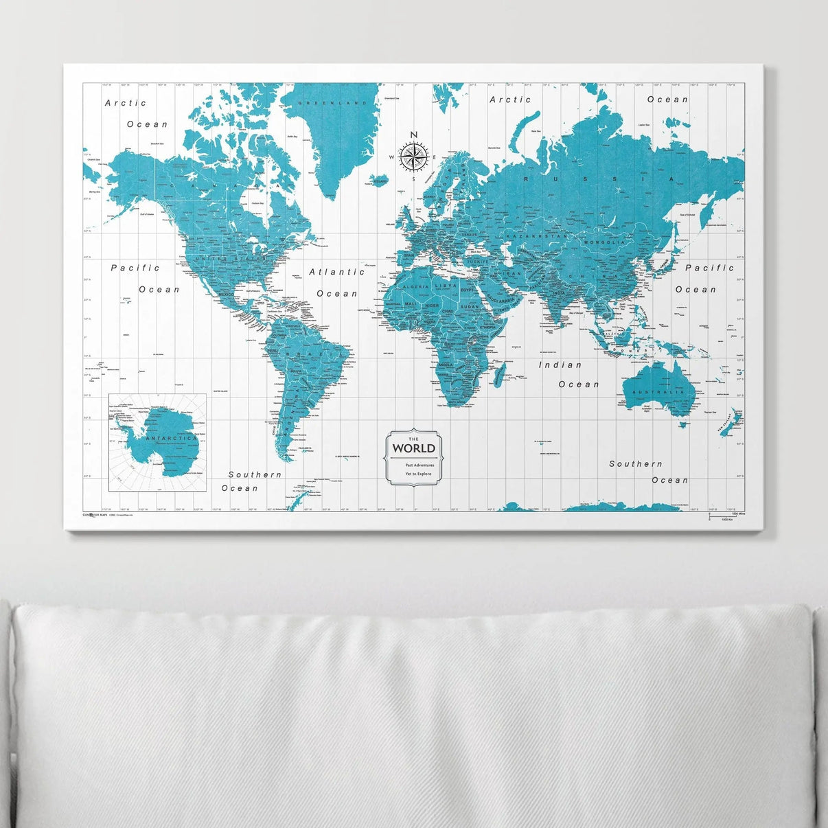 Push Pin World Map: Teal (Pins Included) – Stemcell Science Shop