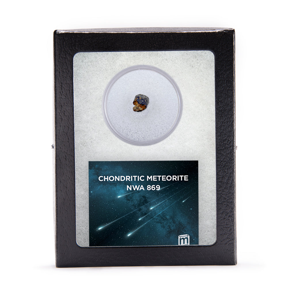 Chondritic Meteorite NWA 869 – Stemcell Science Shop