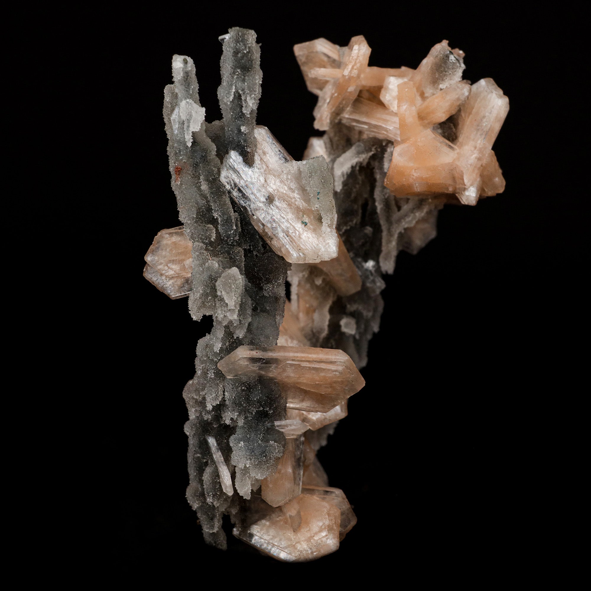 Stilbite on Chalcedony Coral Formation Natural Mineral Specimen # B 51 ...