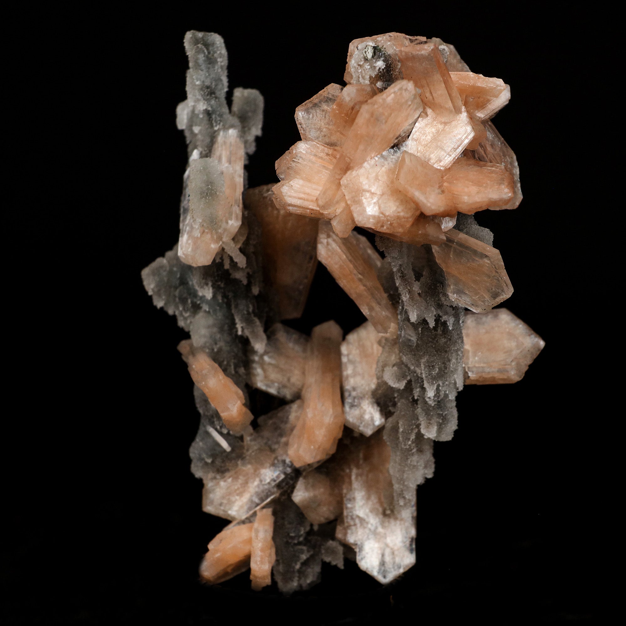 Stilbite on Chalcedony Coral Formation Natural Mineral Specimen # B 51 ...