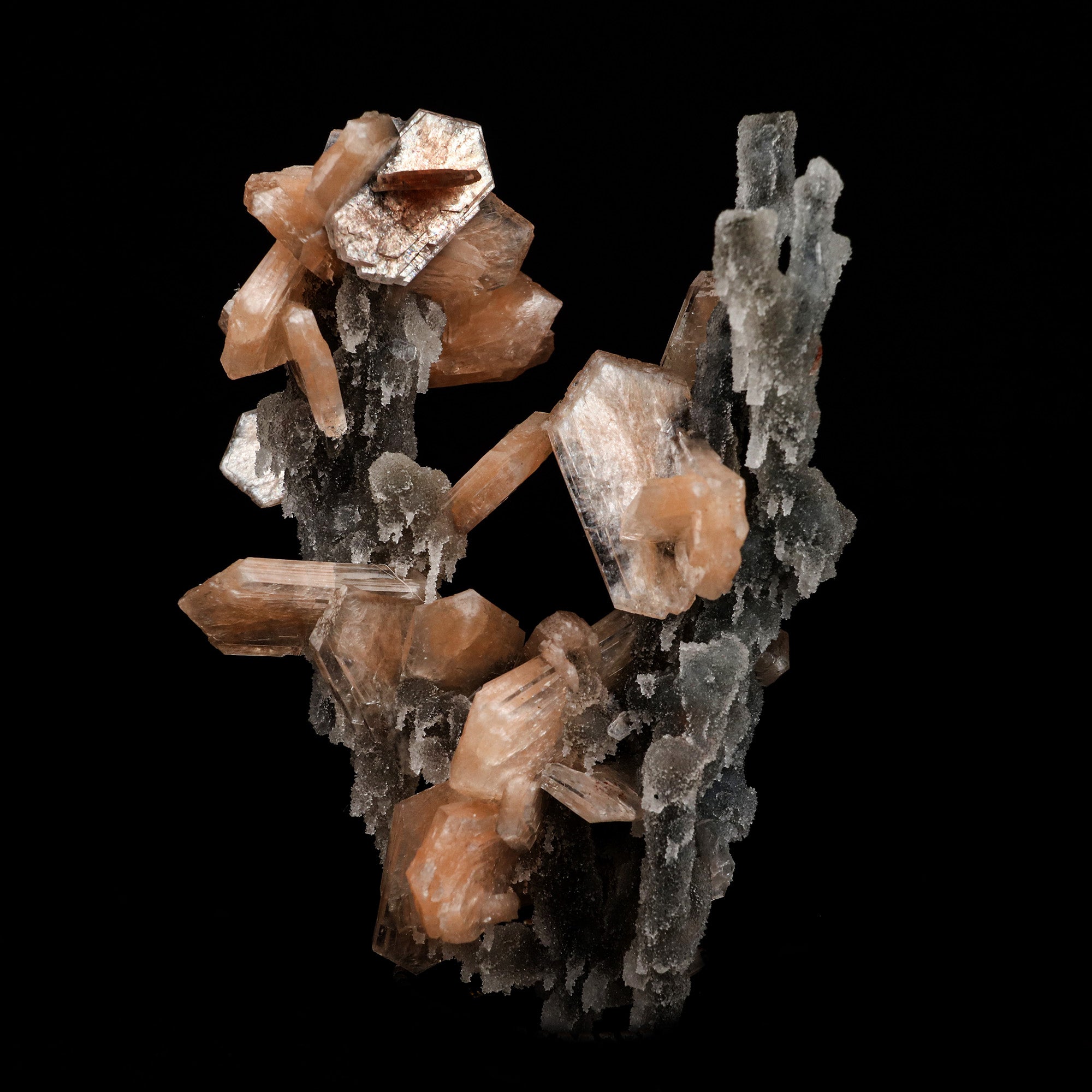 Stilbite on Chalcedony Coral Formation Natural Mineral Specimen # B 51 ...